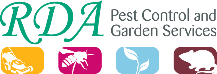 Insects & Spiders - RDA Pest Control & Garden Services
